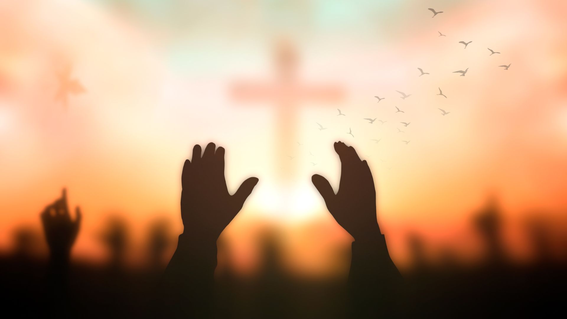 LOVING GOD - ROCK Ministry